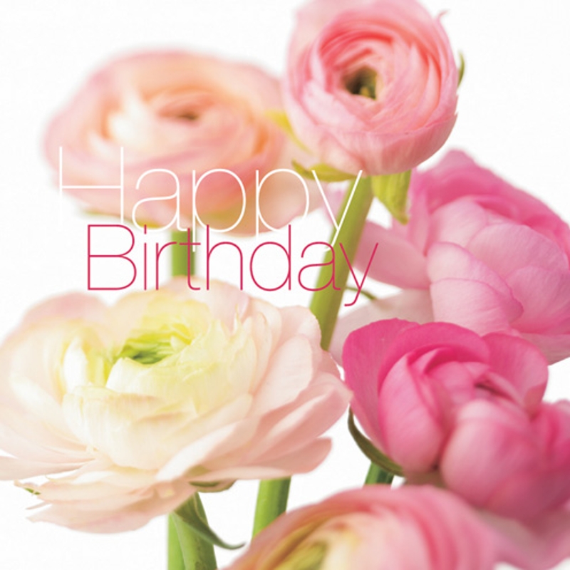 Birthday Greetings Card Buy Online Or Call 01698 760200 Birthday Greetings Card Buy Online Or Call 01698 760200